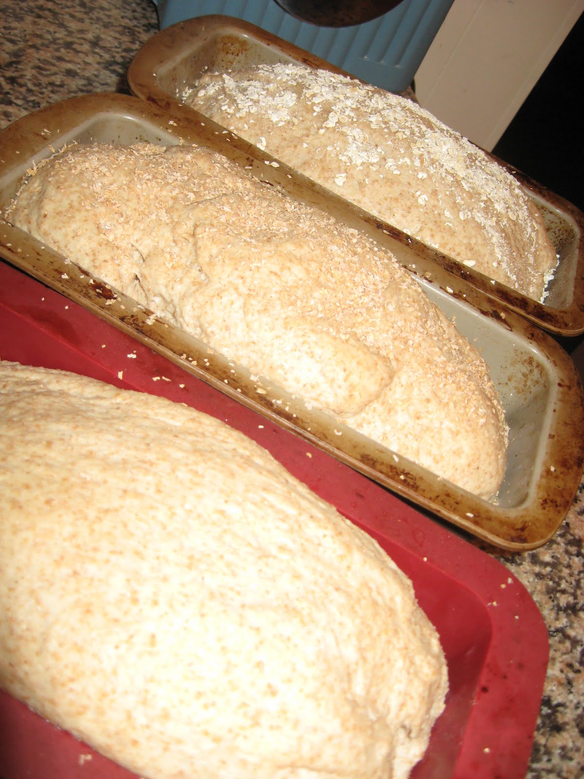 BASiL: Baking: Red Fife Whole Wheat Bread
