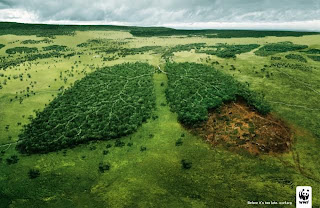 environmental design: WWF posters