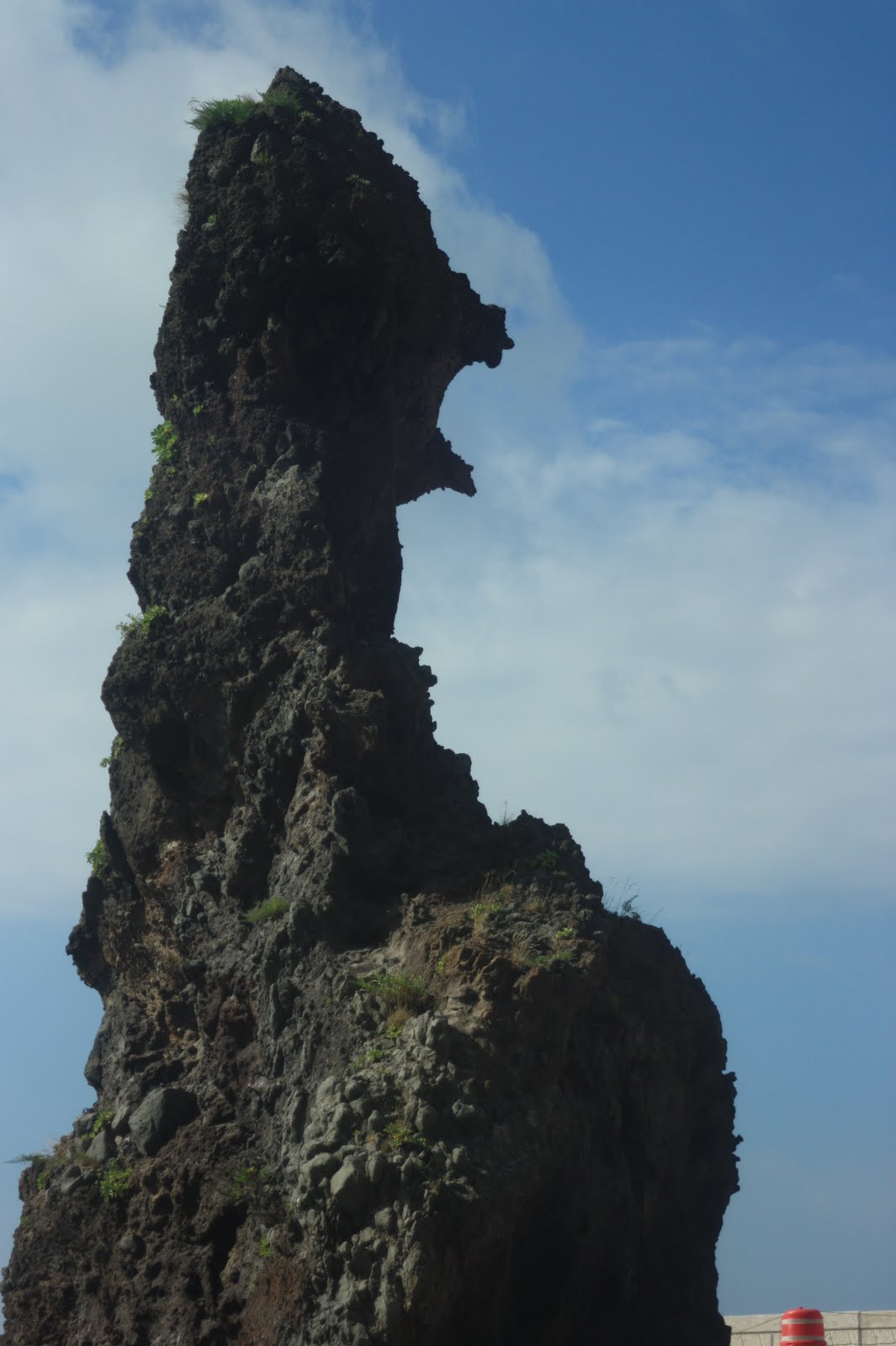 Mystic Korea: My trip to Ulleungdo (one of the South Korean magic Island)