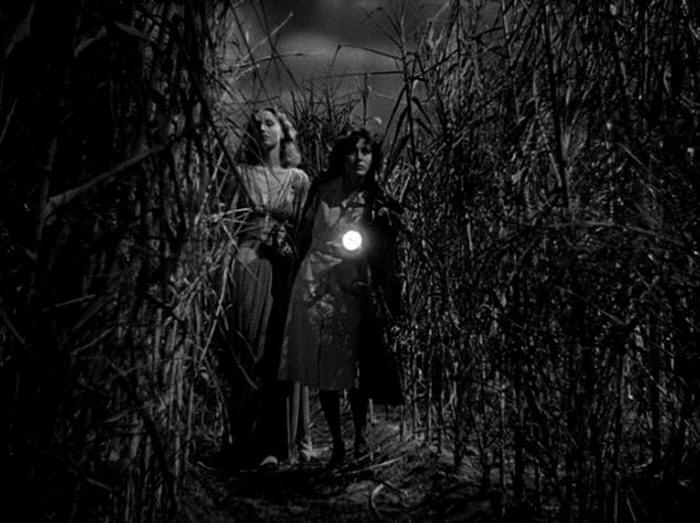 LimerWrecks: Living Dead Man Walking