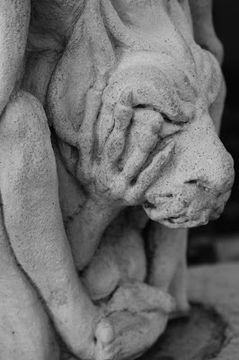 Flora Isadora: Camera Obscura: The Grumpy Gargoyle*