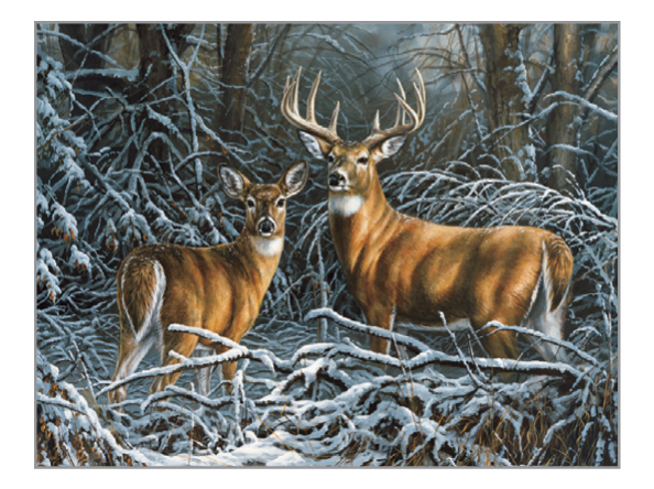 Pine Ridge Art News: Pine Ridge Art Christmas Card Contest!