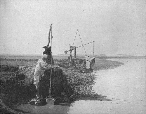 Ancient Egyptian Tools: How does a shadoof work?