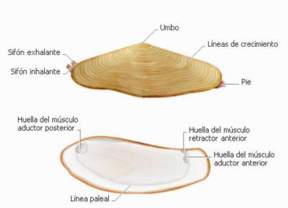 Naturaleza asombrosa, maravillas naturales: 29 nov 2010