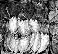 kabisdak: buwad pinikas