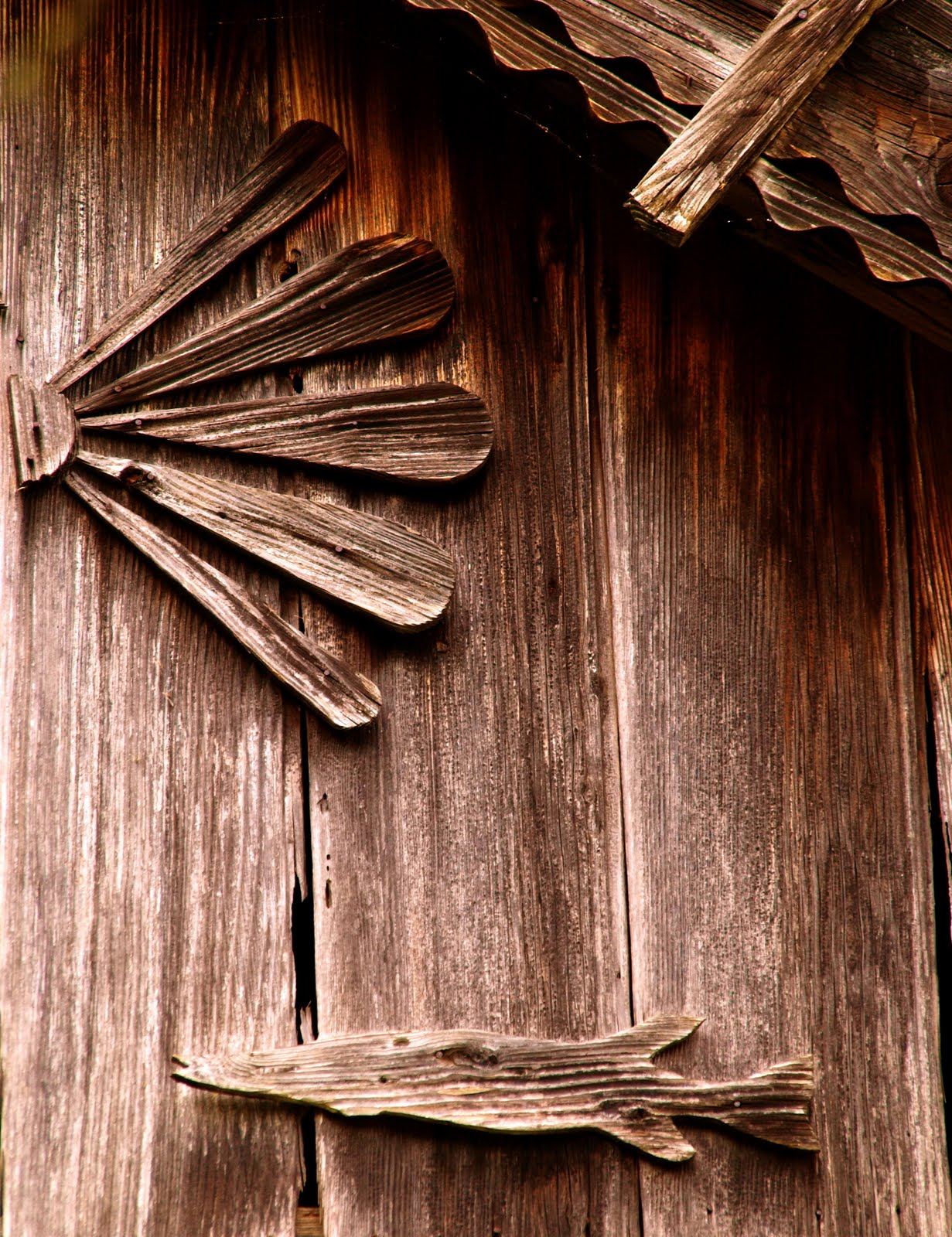 Eva Cristina Androniu: Delta Dunarii in imagini (3)