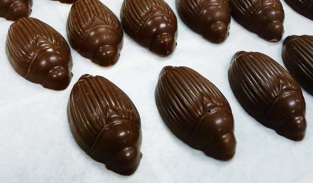Dying for Chocolate: Chocolate Cockroaches-19th Century Christmas Treat