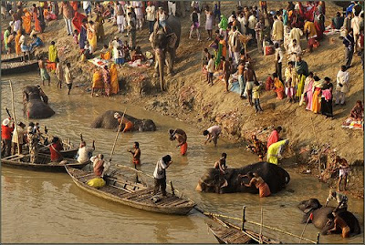 SONEPUR MELA; The largest animal Fair of ASIA: Fair of Fairs; SONEPUR FAIR