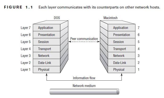 Network World Site: Understanding the OSI Model