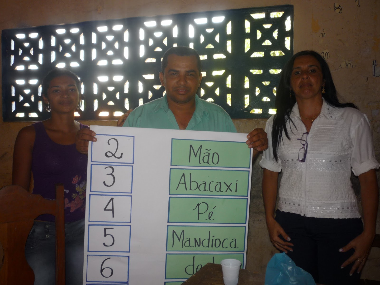 Cleonice Machado: Formação Inicial do PBA 2010 de Amarante do Maranhão ...