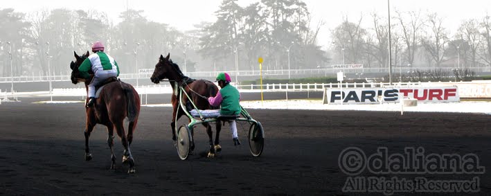 Photographis: Horse Racing - Hippodrome de Paris-Vincennes