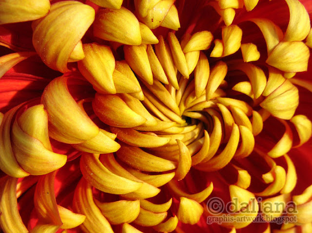 Photographis: Forever Autumn - Photography