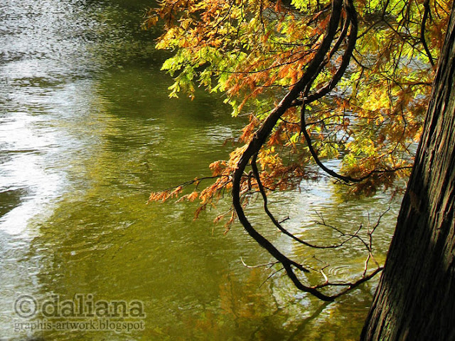 Photographis: Forever Autumn - Photography