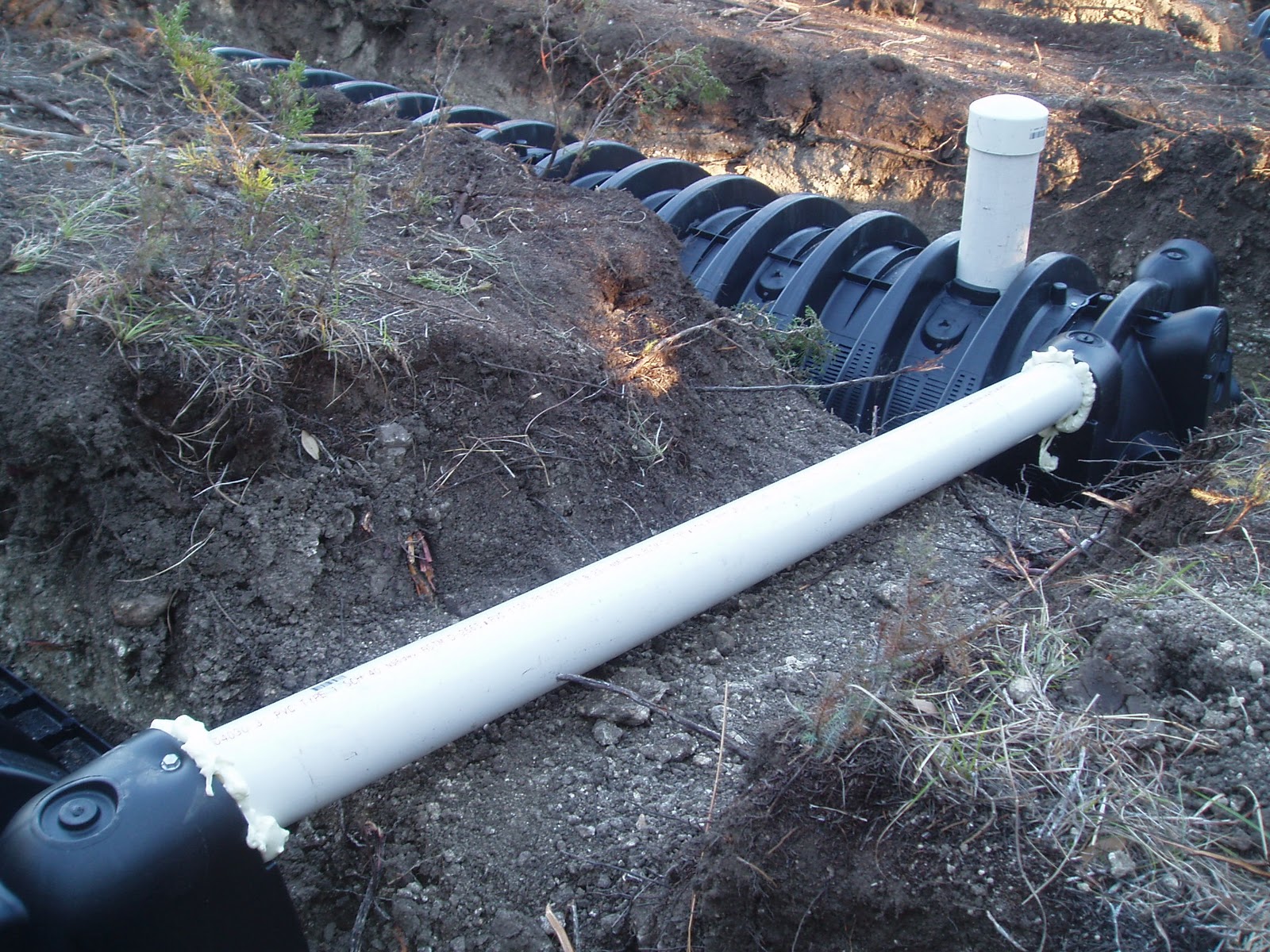 Leach Field | Morgan Homestead