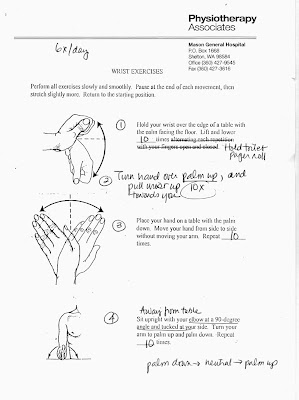 Walks with Moss: Physical Therapy for the Wrist