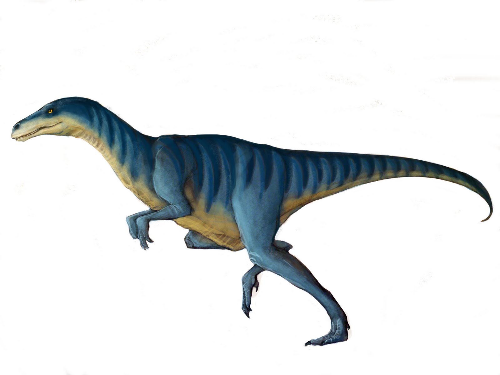Gabrielle Andhita: Herrerasaurus