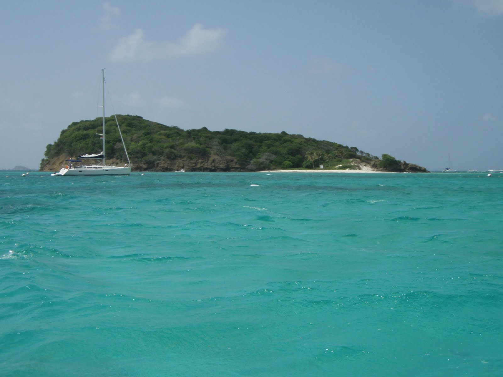 Le Chat Beaute: Tobago Cays