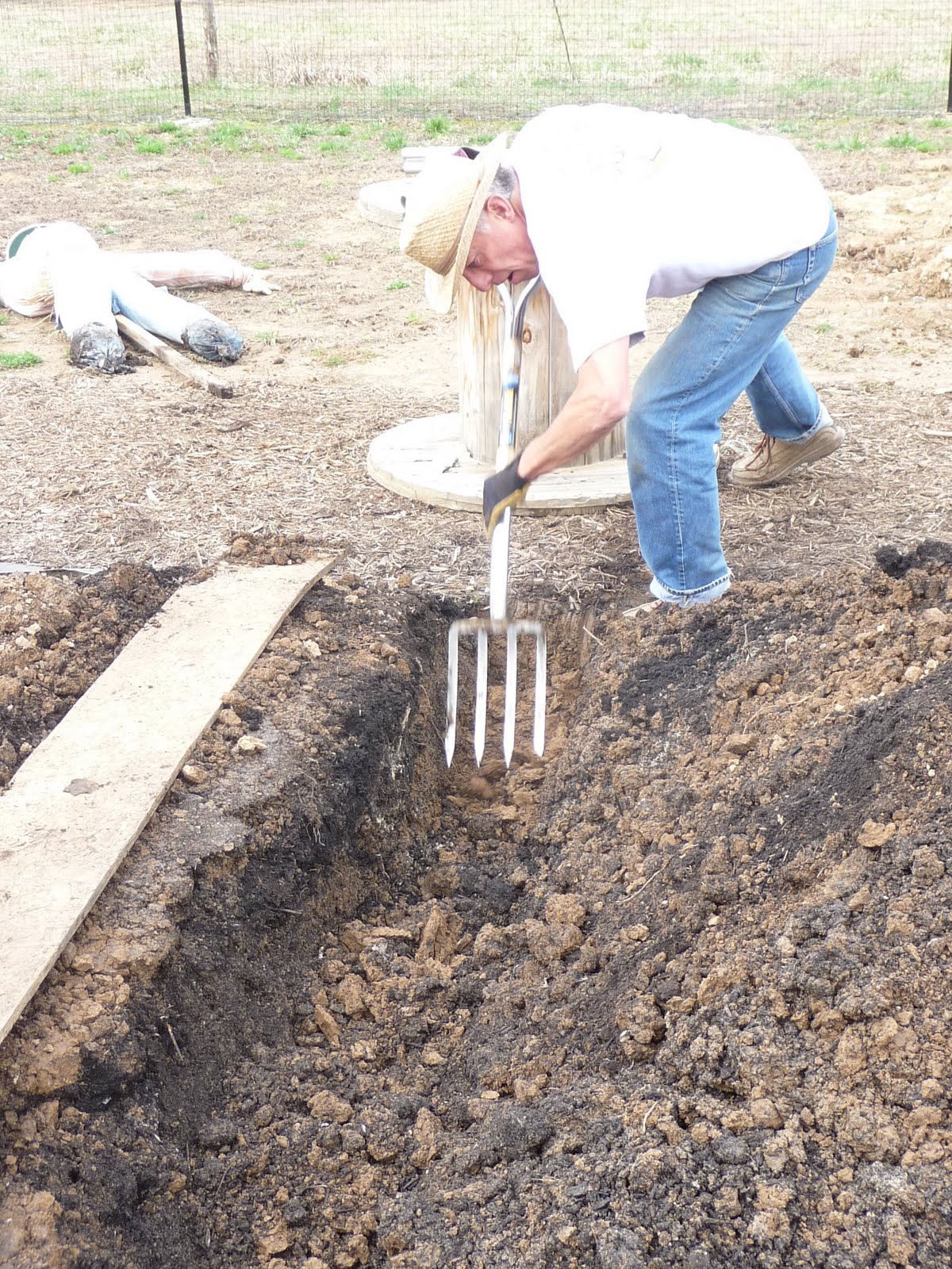 Taproot Farm Journal: HERE'S THE DIRT!