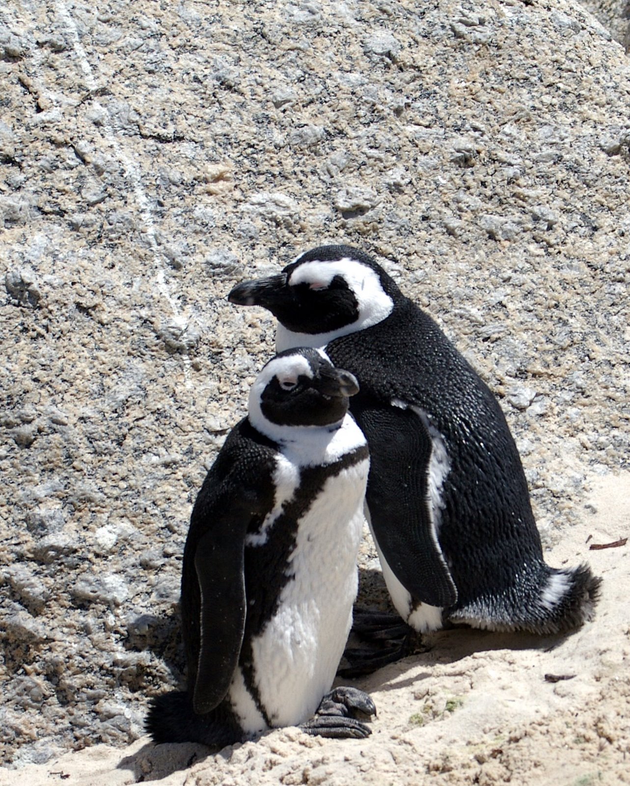 don sees the world: November 2007