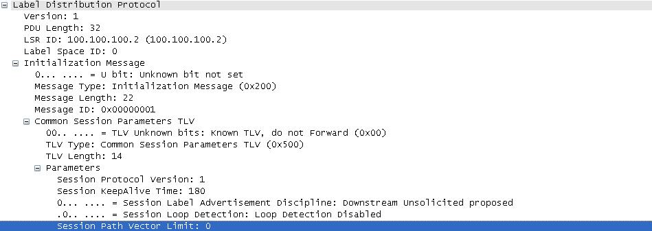 How Does Label Distribution Protocol(LDP) Initializes? |MPLSVPN ...