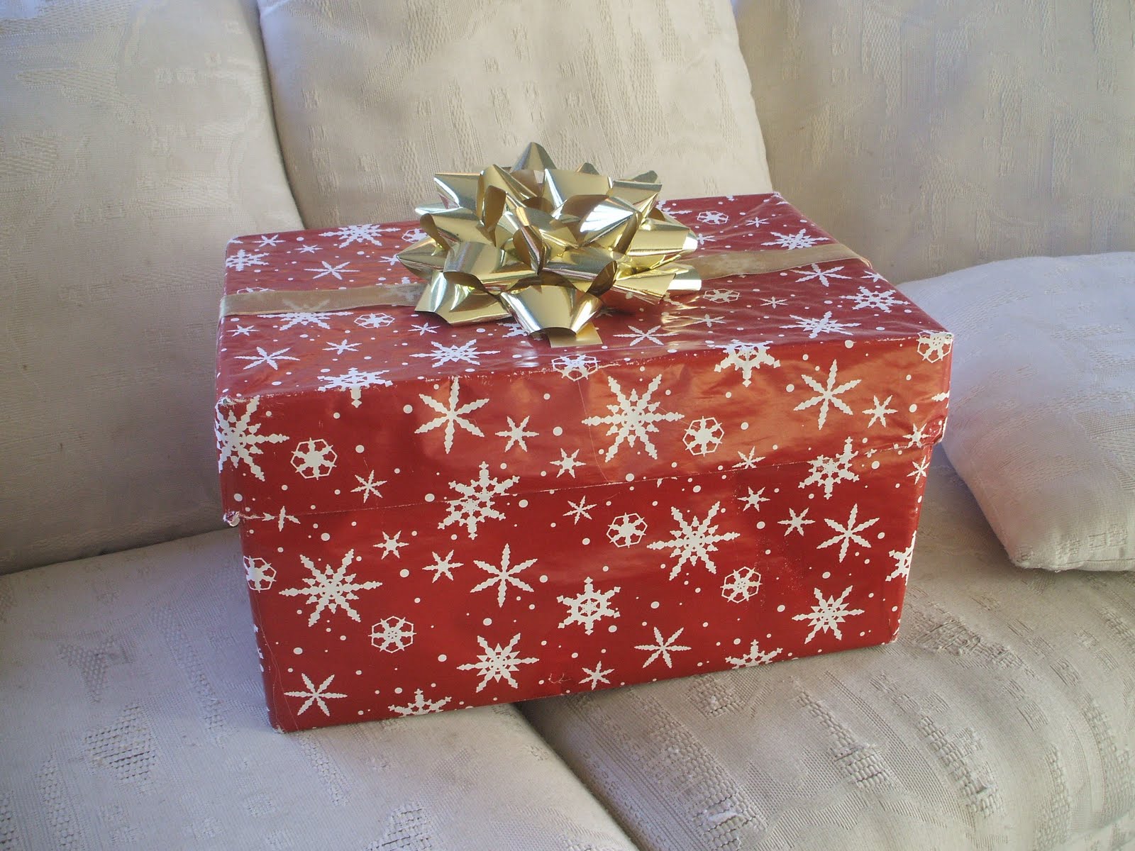 Christmas Adventure Box: December 1: The Greatest Gift