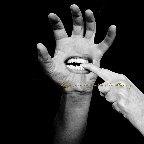 Israel Matzav: Biting the hand that feeds you