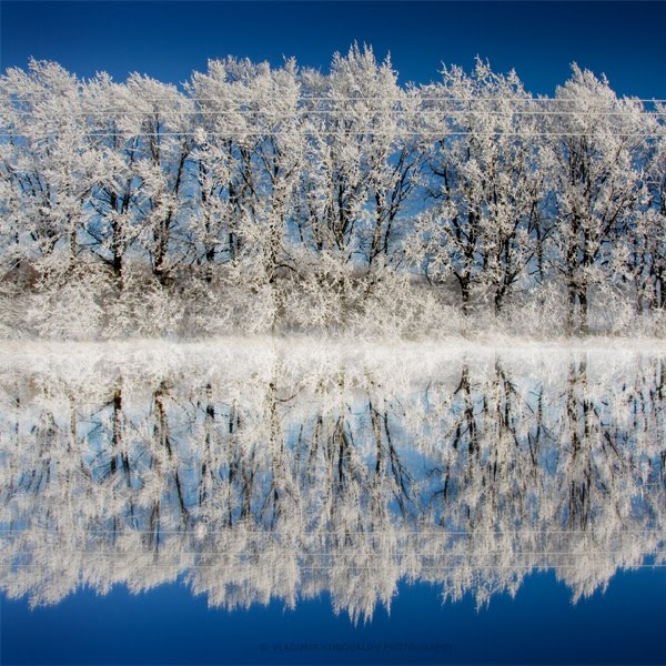 Hot Fresh Pics: Excellent Examples Of Reflection Photography