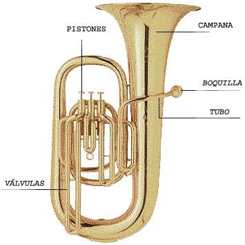 Mi Música: partes de una tuba