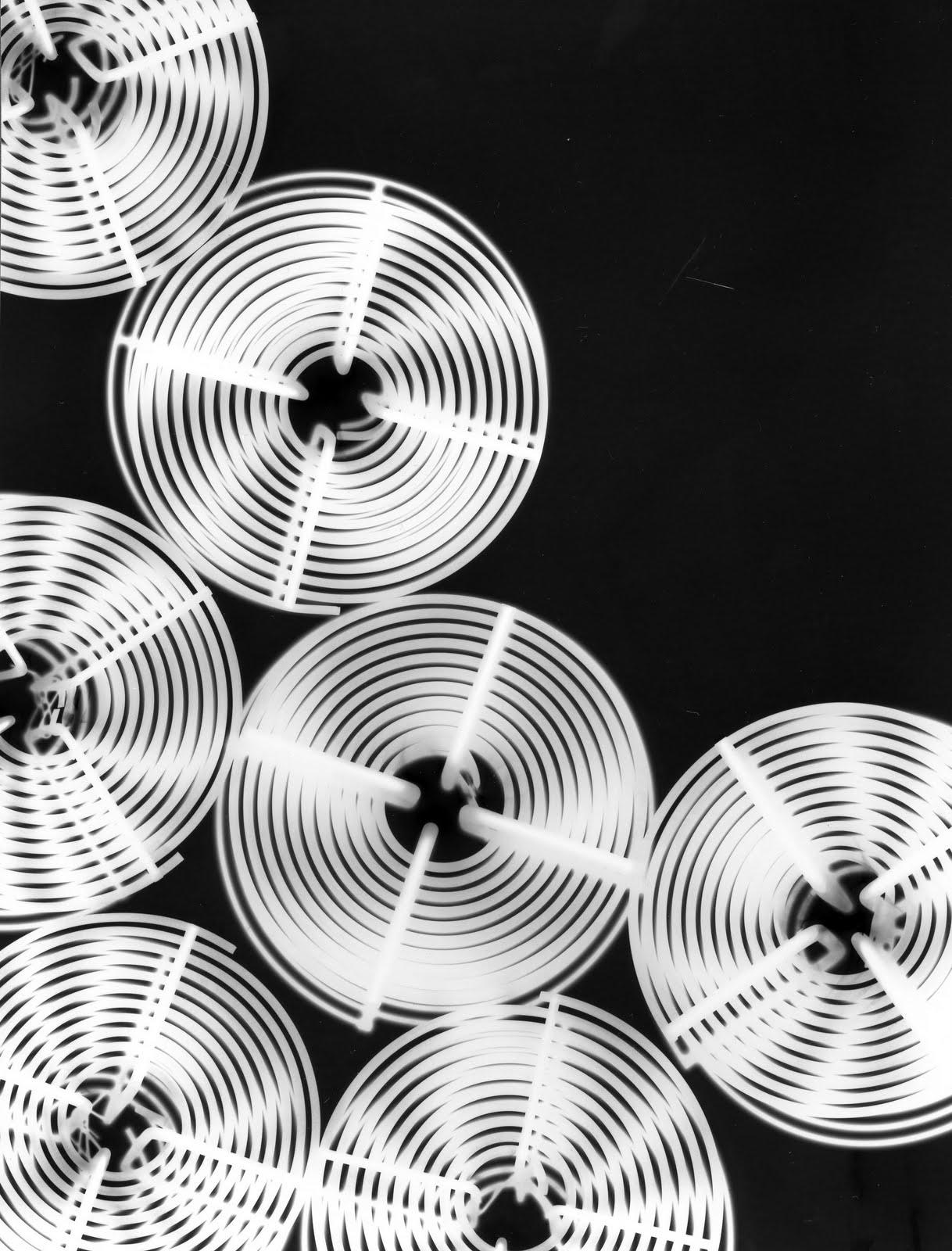 TLF INsight.: Photogram Experiments