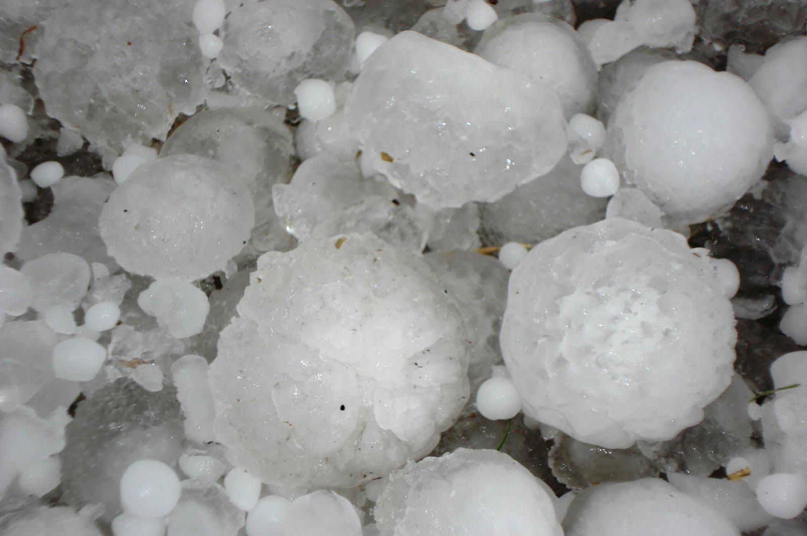 Cuor di pane: GRANDINE