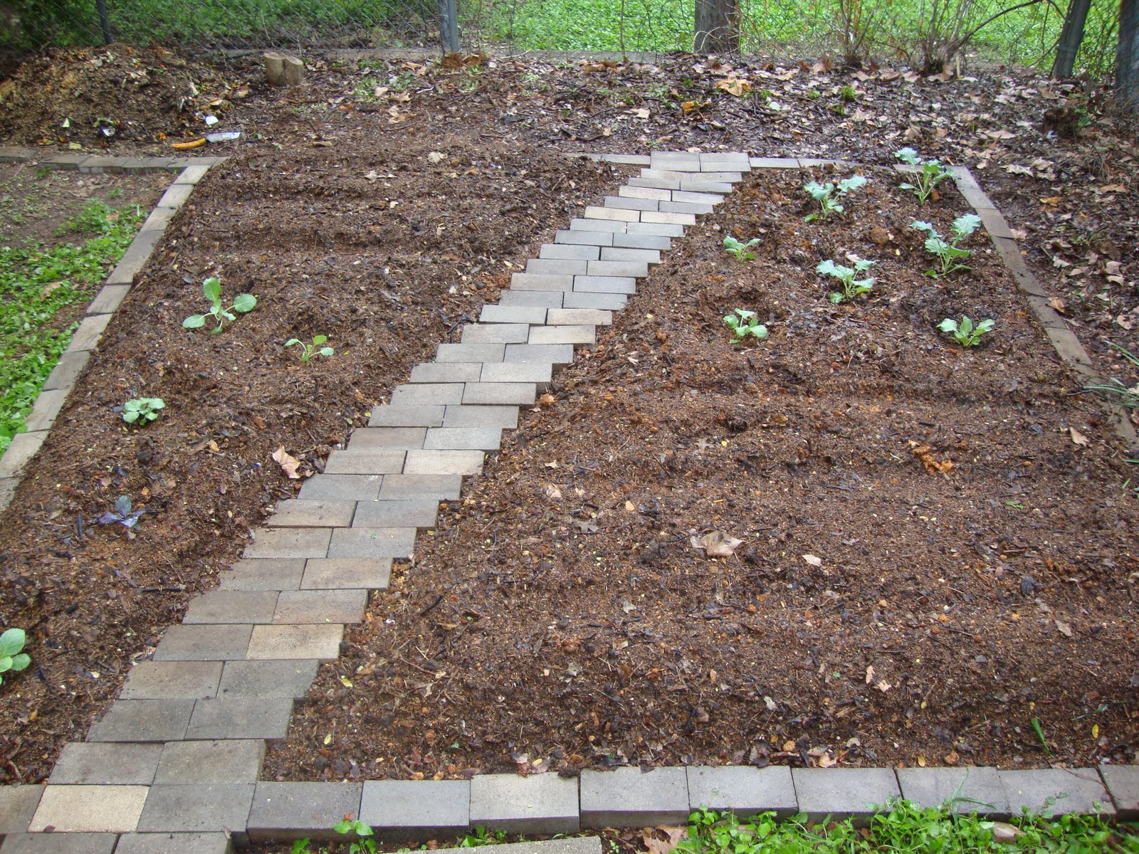 Where Plants Rule: Crooked Garden Path