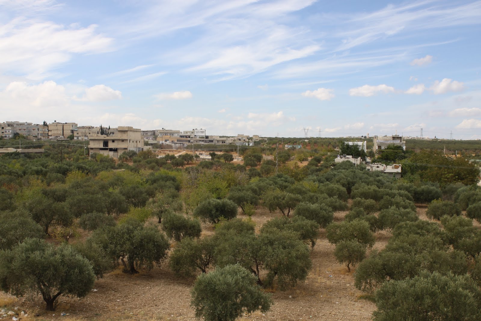 Not All Who Wander Are Lost: Aleppo, Syria
