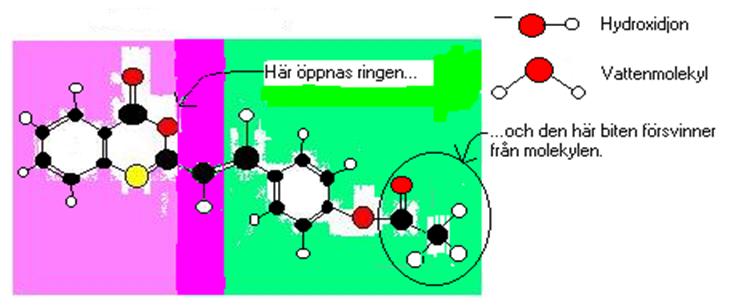 Kemilabbet: Organisk syntes