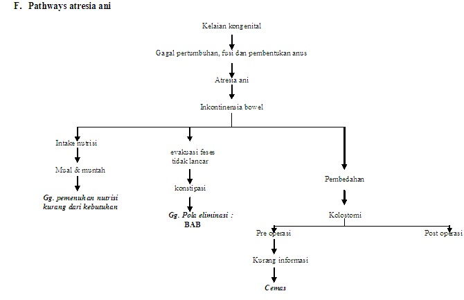 pathway atresia ani | Rachmalluucciioouuss