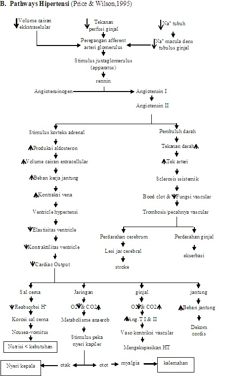 pathway hipertensi | Rachmalluucciioouuss