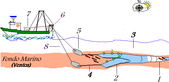 pesca en el mar: arrastre