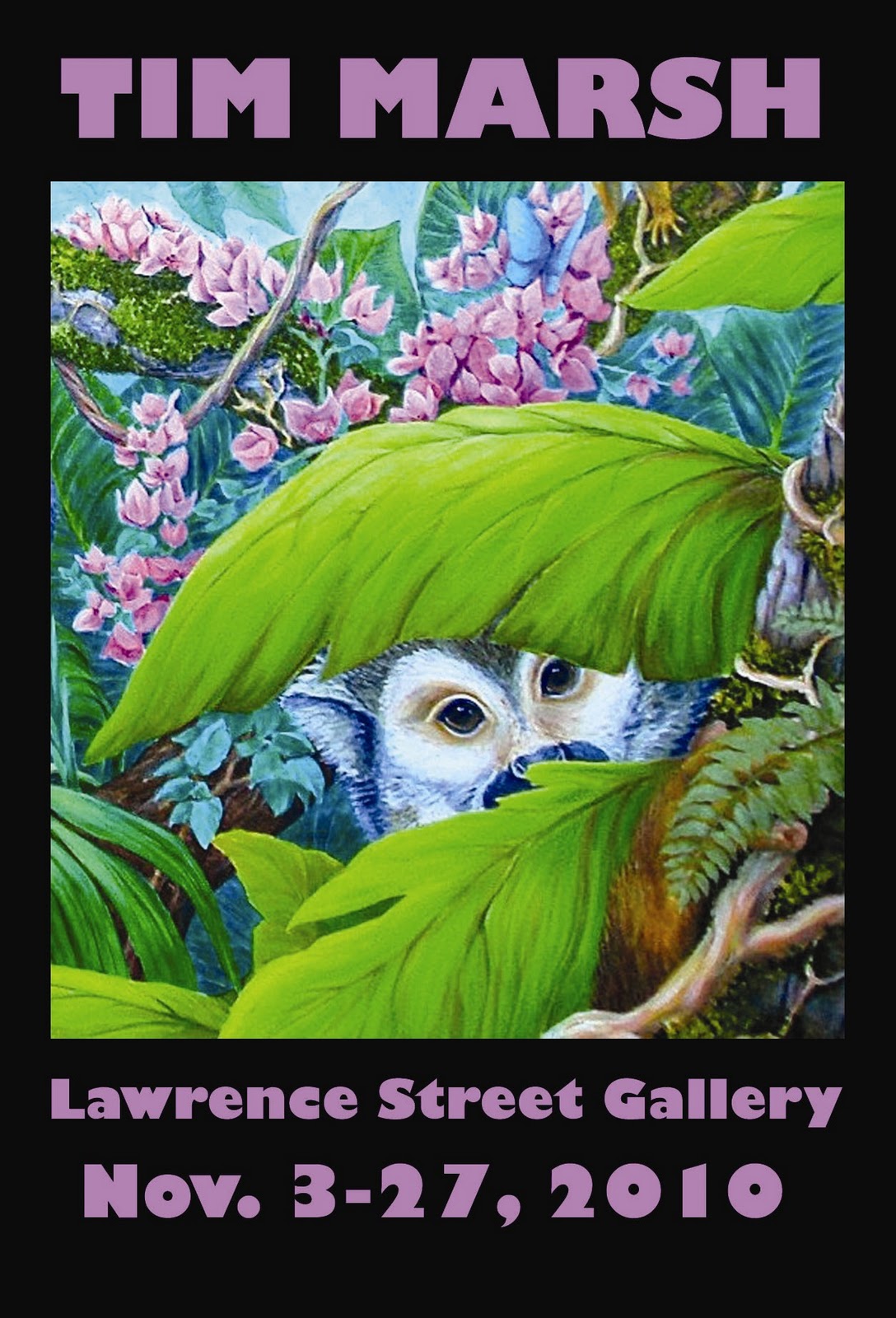 Tim Marsh Nature Artist: Featured in Detroit Free Press "Play" section ...