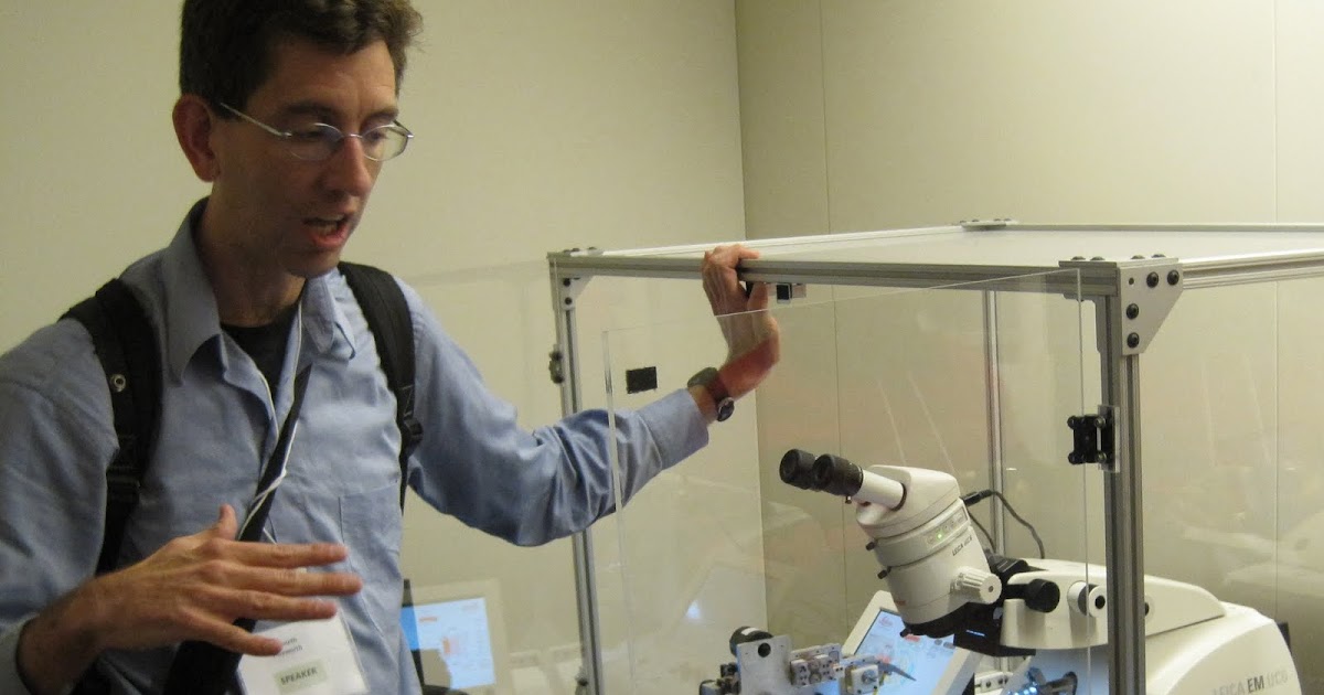 Sentient Developments: The Brain Preservation Foundation: Better ...