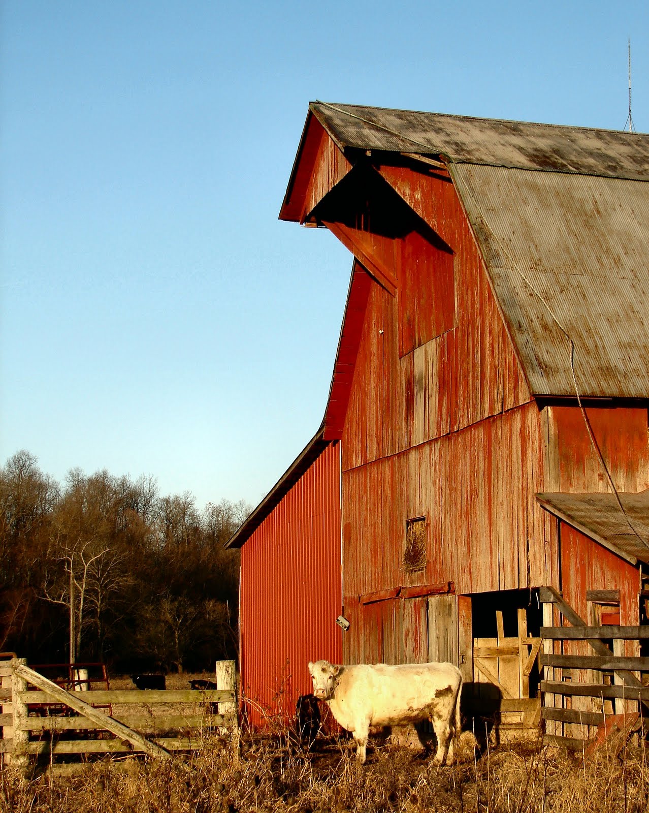 Spencer Alley: Farms