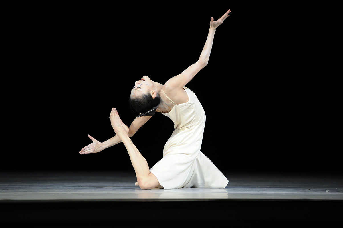 Spencer Alley: Yuan Yuan Tan