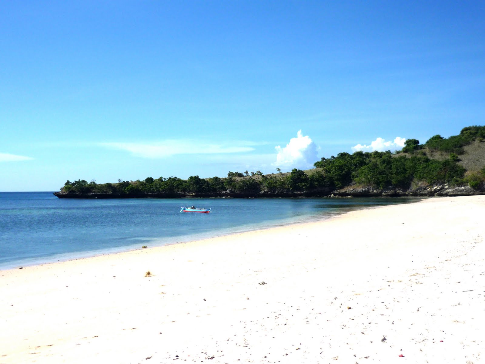 e_gonk@: pantai di lombok timur