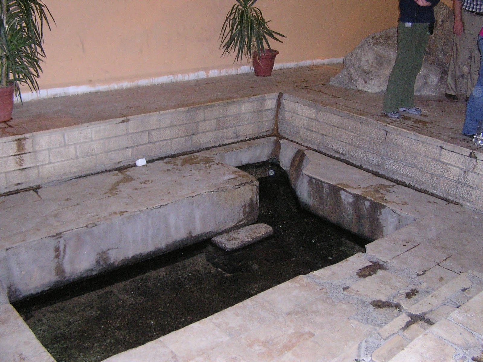 Ziggy's Adventures: Significant Sites