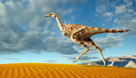 Línea viperina: Se encontraron restos del “Primo diminuto” del ...