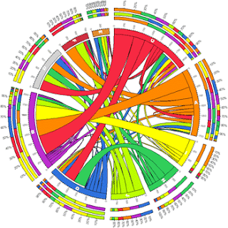 CIRCOS - VISUALIZING THE GENOME, AMONG OTHER THINGS | BIOINFORMATICS