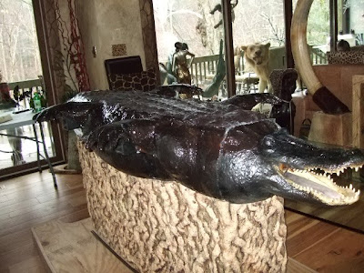 Colorations: The Safari House alligator table