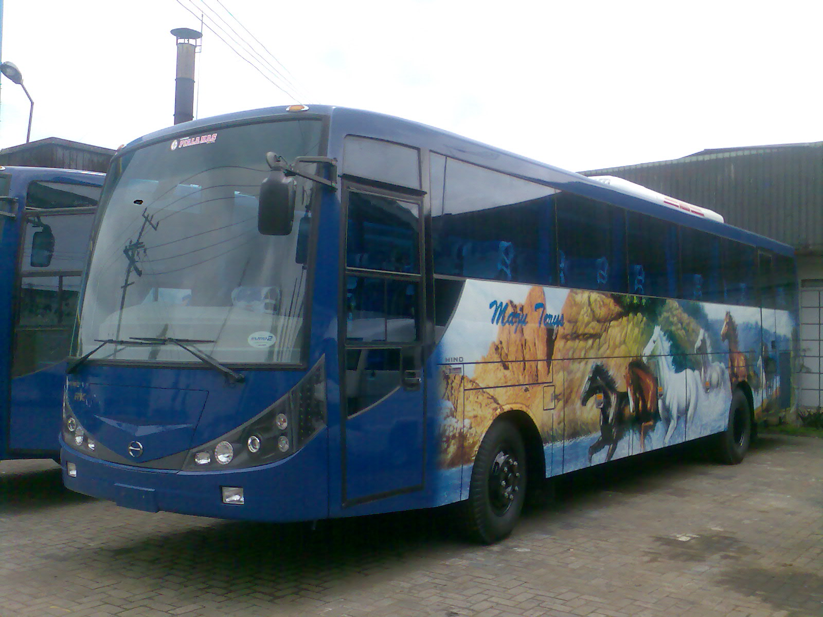 Jenis Dan Type Bus Dari Berbagai Macam Karoseri Bus Yang Ada Di Indonesia