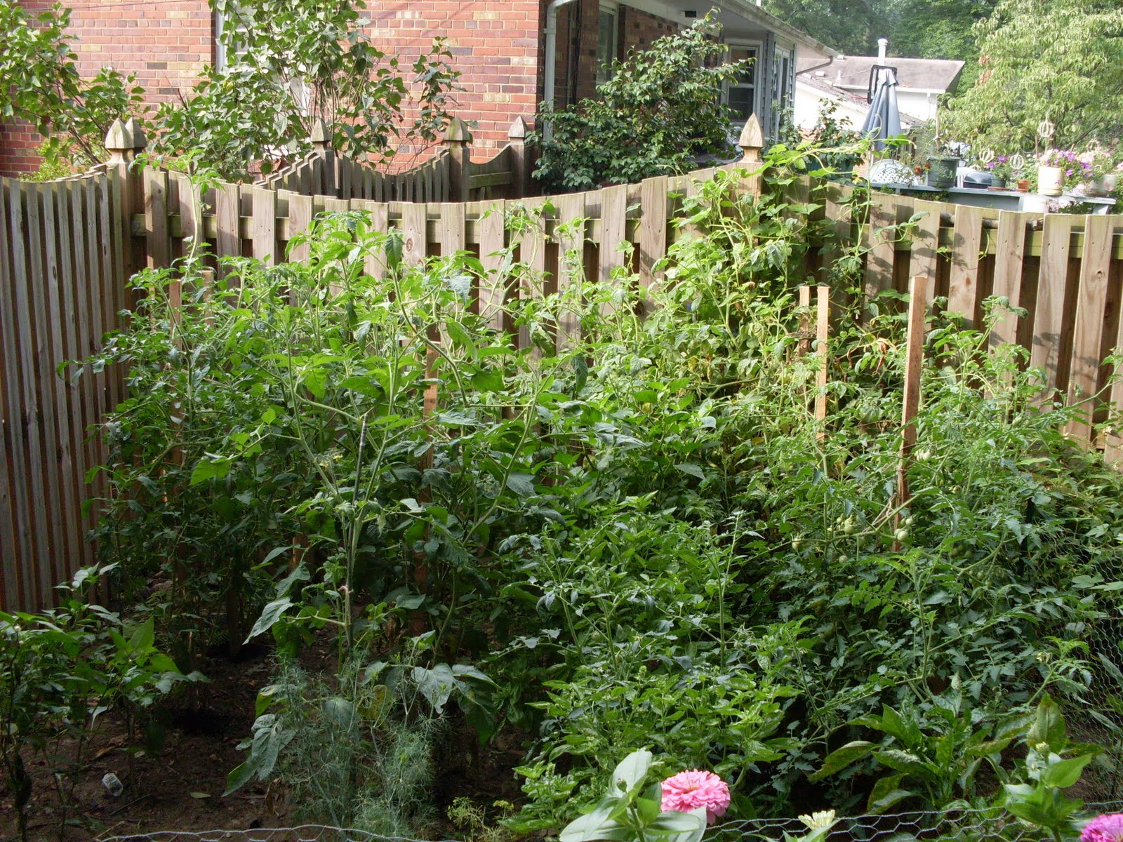 Bizarre Gardening Accident