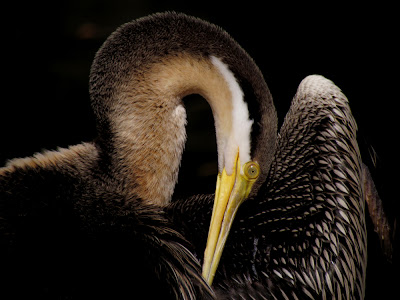 The f8 Group: Photography and Occasional Commentary: October 2010