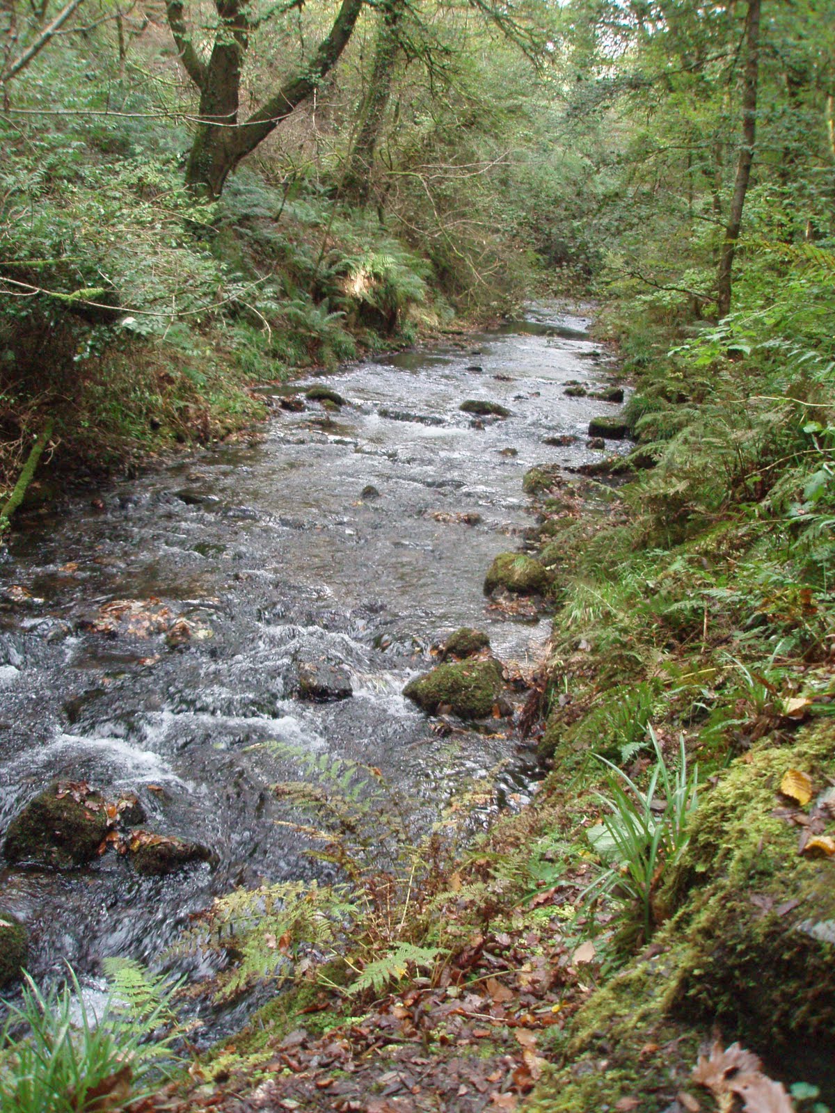 Cornwall - Beside the Sea: Meldon Reservoir and Lydford Gorge