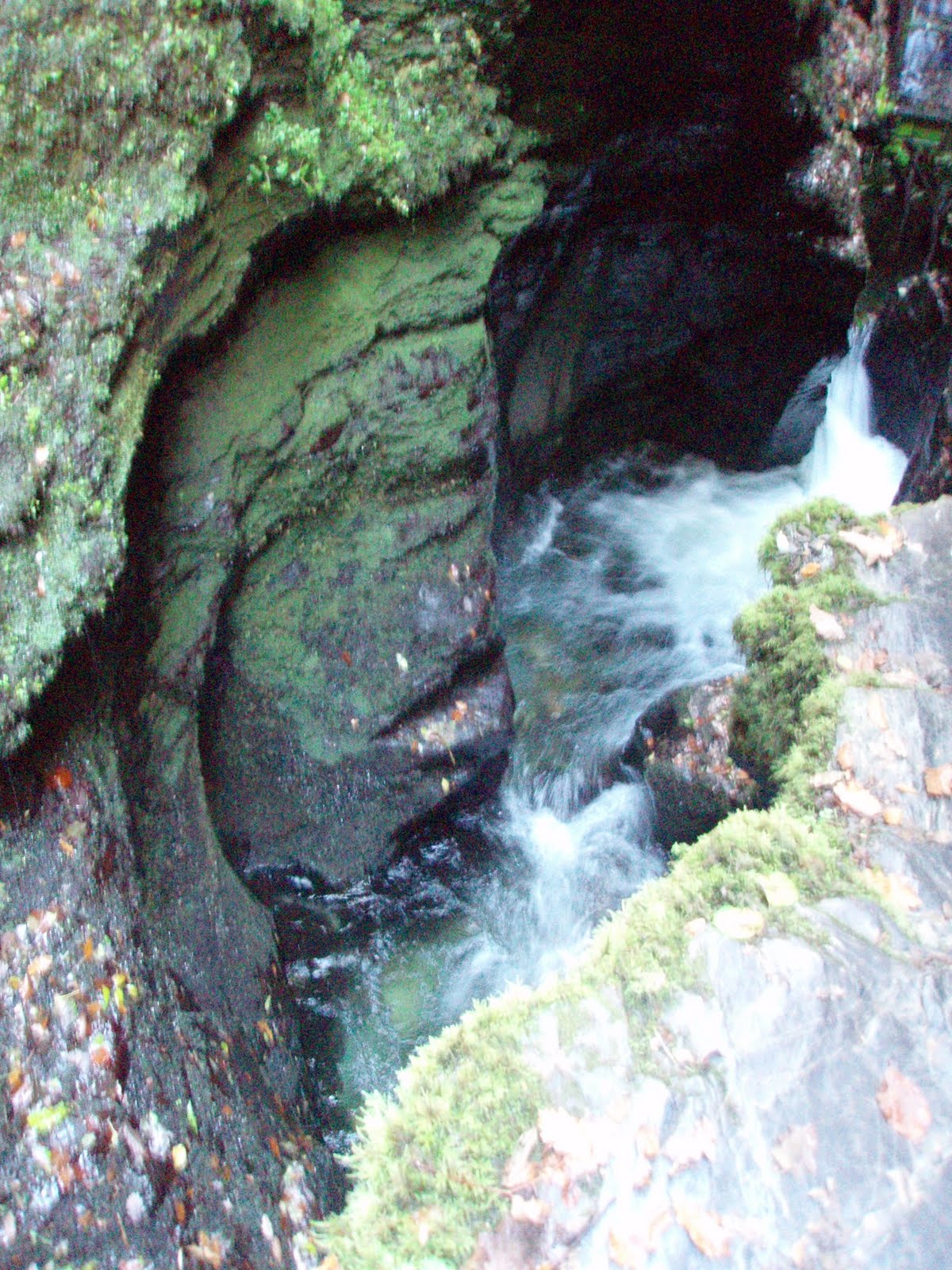 Cornwall - Beside the Sea: Meldon Reservoir and Lydford Gorge